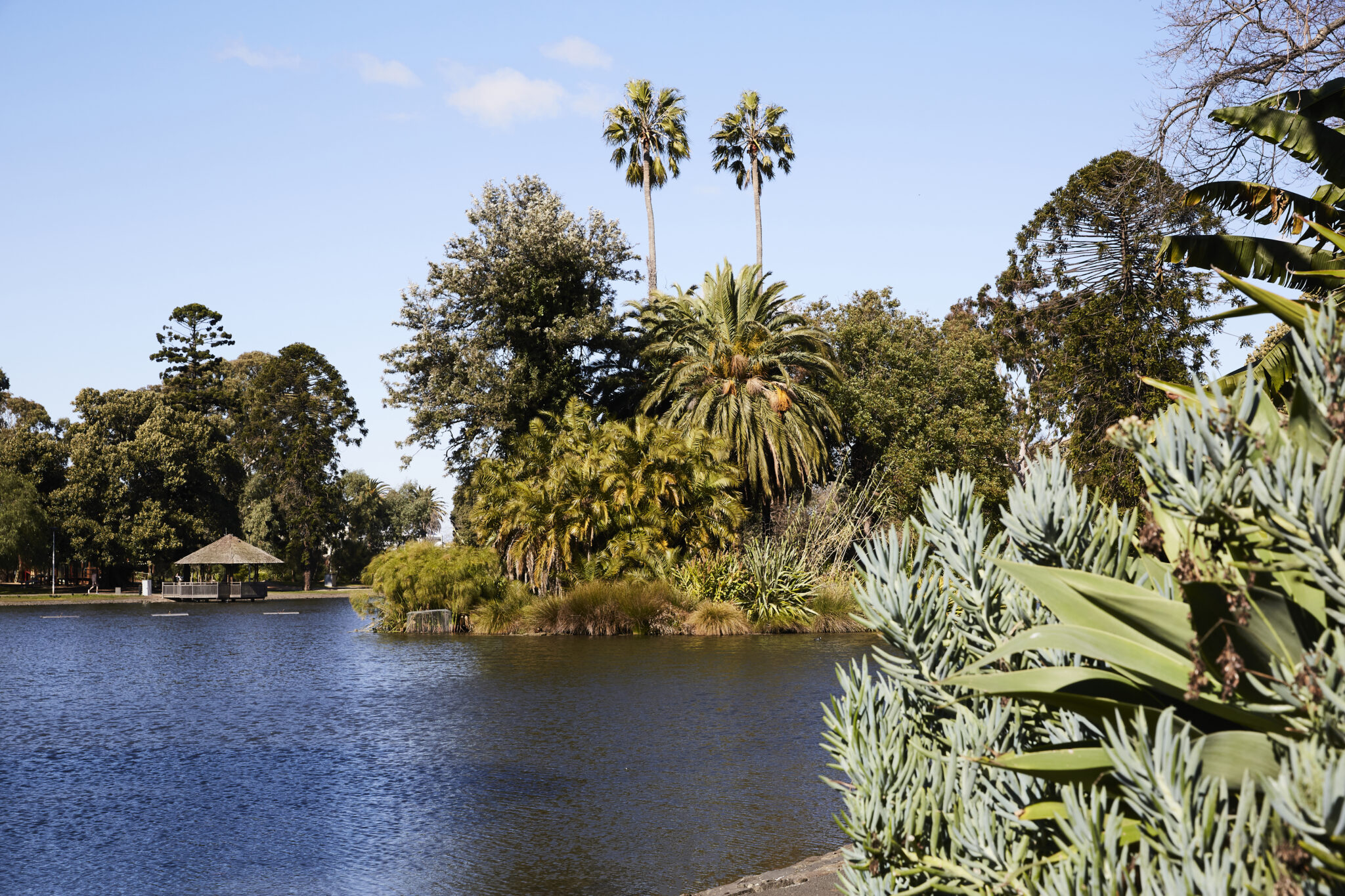 The Essendon Series - Branson Group